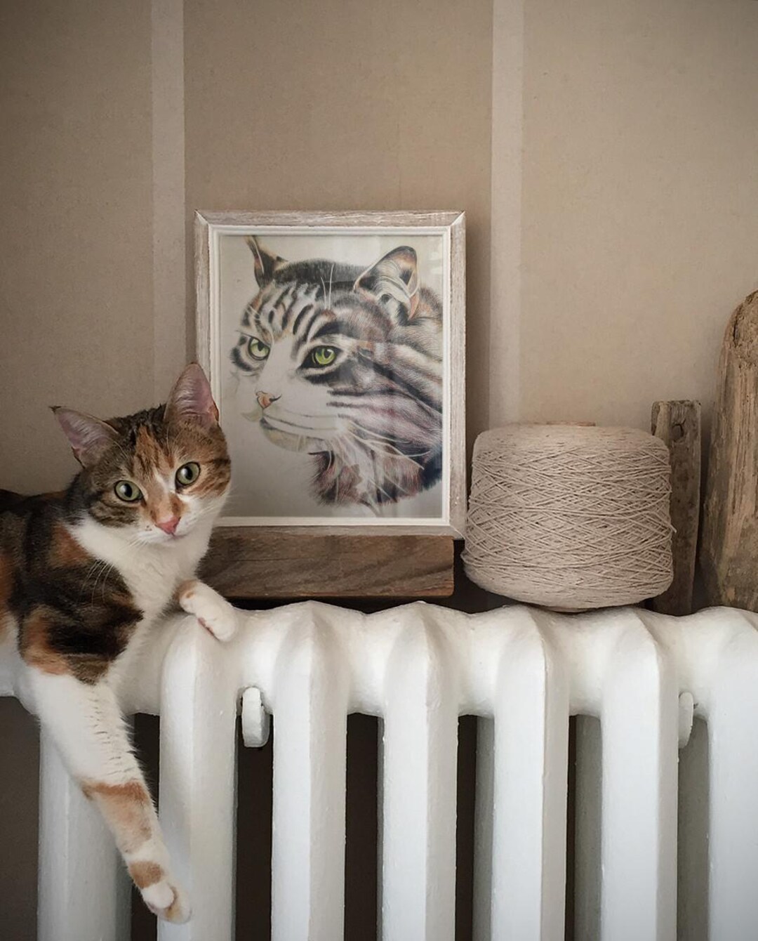Cat Fine Art Print - Etsy