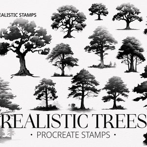 Procreate Realistic Tree Stamps – Spruce, Pine, Oak, Willow & Maple ...