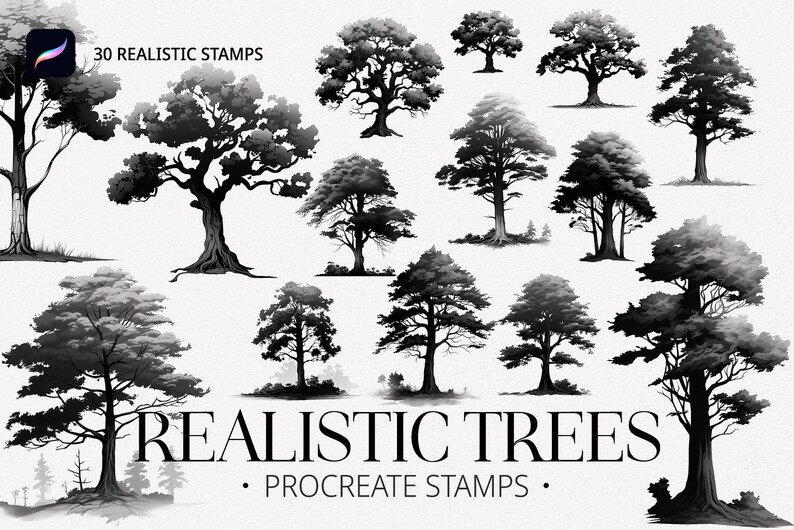 Procreate Realistic Tree Stamps – Spruce, Pine, Oak, Willow & Maple ...