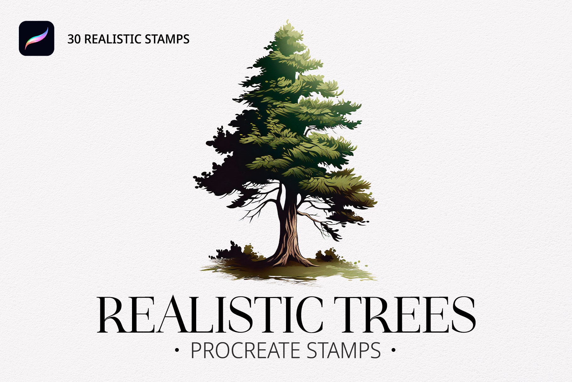 Procreate Realistic Tree Stamps – Spruce, Pine, Oak, Willow & Maple ...