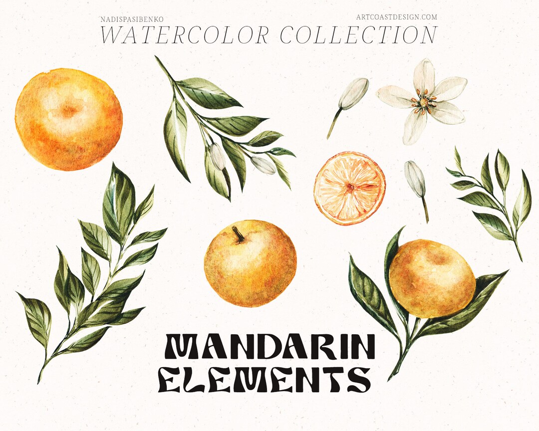 Wedding Clipart Citrus Mandarin Elements Greenery Branches Flowers for ...