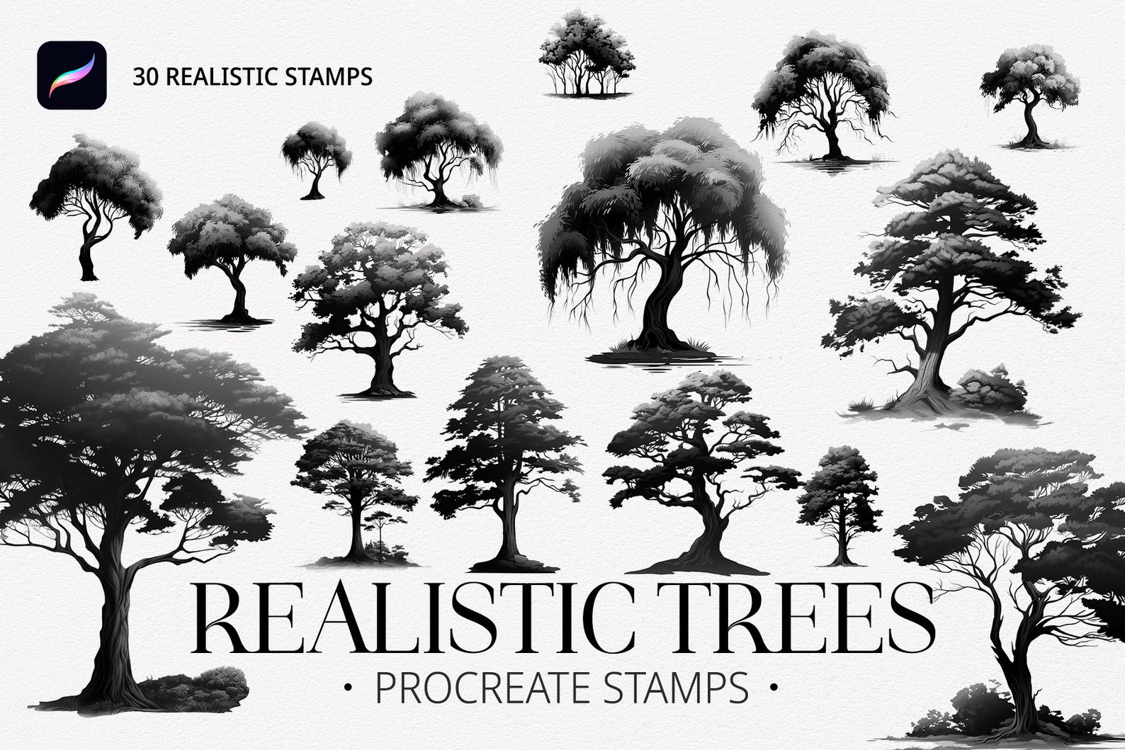 Procreate Realistic Tree Stamps – Spruce, Pine, Oak, Willow & Maple ...