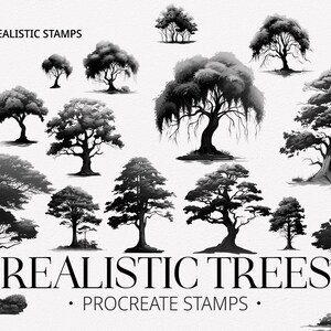 Procreate Realistic Tree Stamps – Spruce, Pine, Oak, Willow & Maple ...