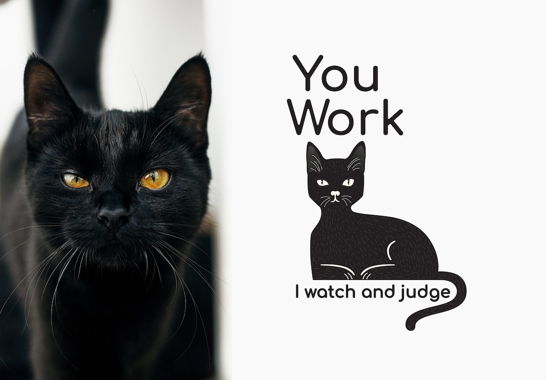 You Work, I Watch and Judge Cat Wall Decal Cat Love on Your Room Wall ...