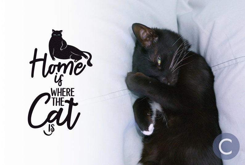 Quote Decal - Home is Where the Cat is Cat Decal Set Home Wall Decal ...