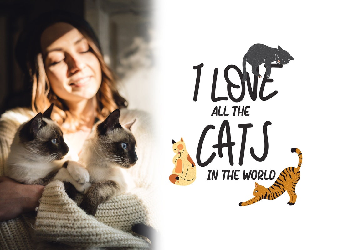 Quote Decal - I Love All the Cats in the World Cat Decal Set Home Wall ...