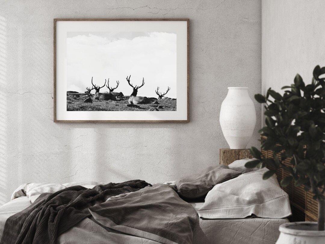 Scandi Black and White Stag Poster Moody Travel Print L Minimal Black ...