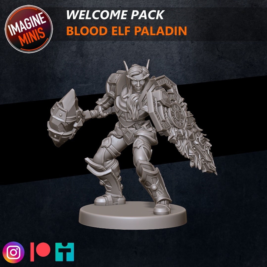 Blood Elf Paladin Aos War Games Role Dungeons and Dragons Proxy Descent ...