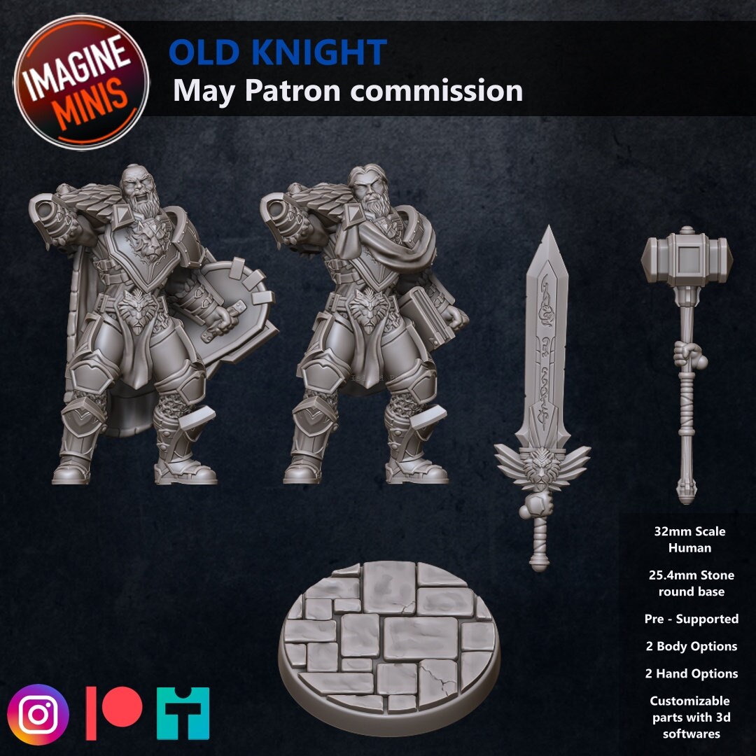 Old Knight Paladin Aos War Games Role Playing Dungeons and Dragons ...
