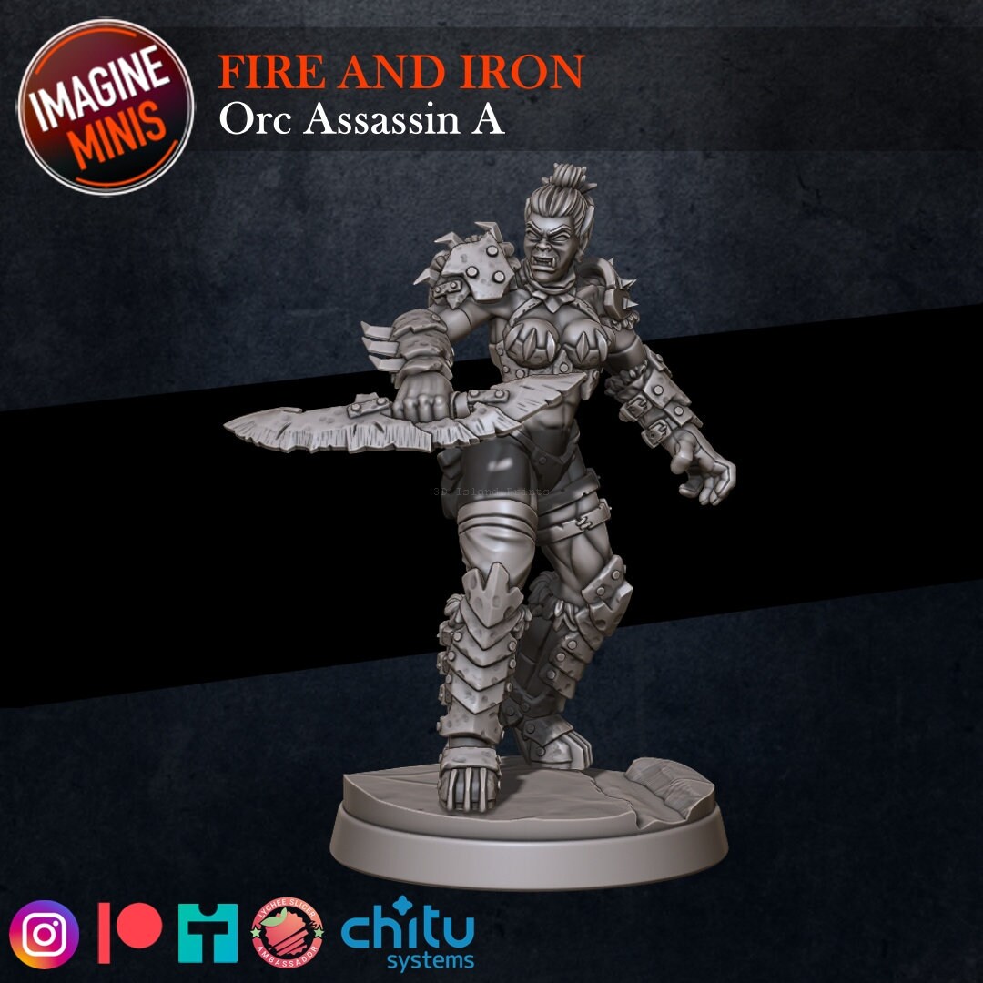 Assassin Female Orc Fire and Iron Aos War Games Role Playing Dungeons ...
