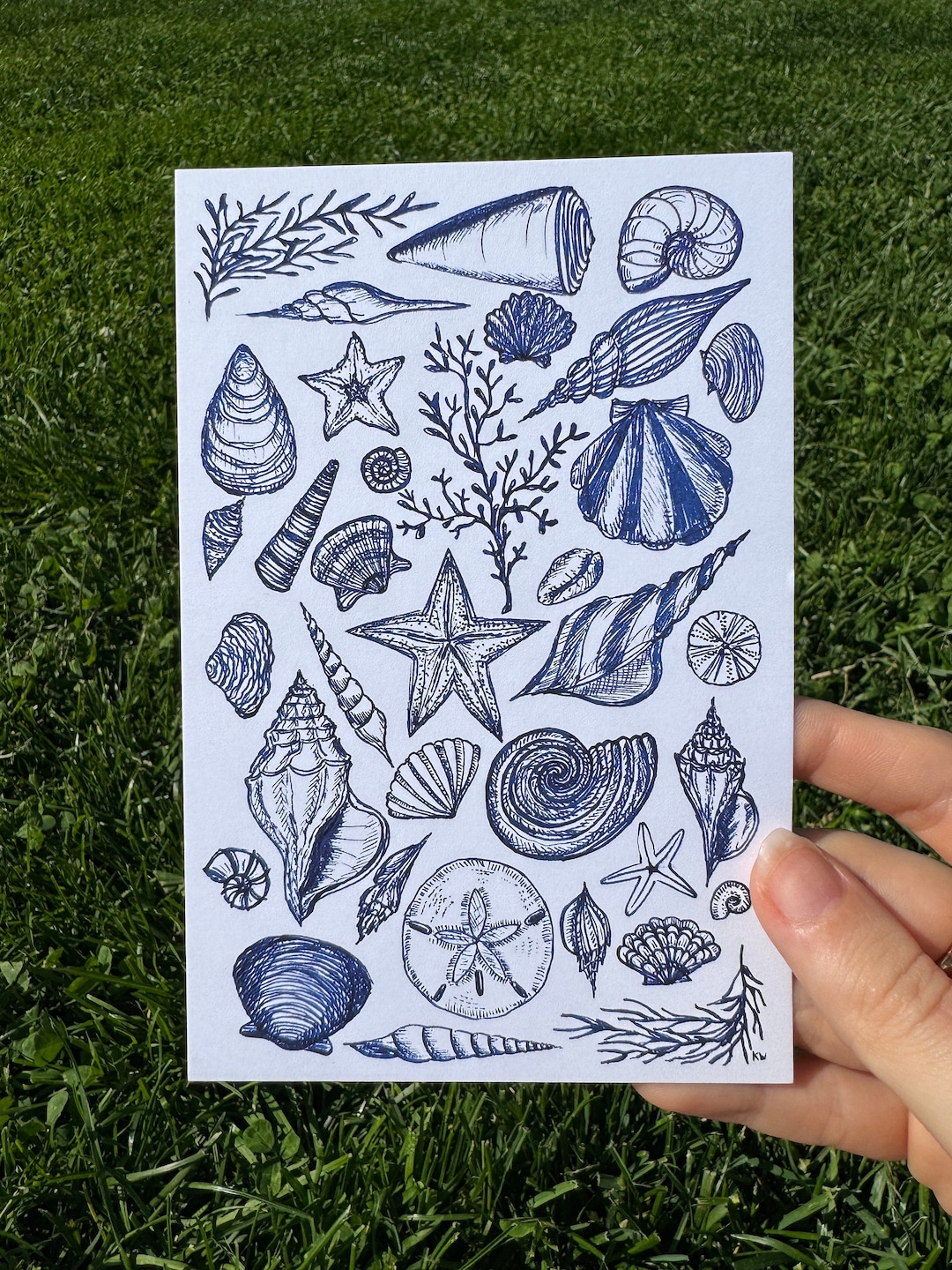 Blue Seashells Mini Art Print, 4x6 Artwork - Home and Wall Decor - Etsy