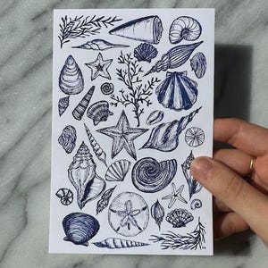Blue Seashells Mini Art Print, 4x6 Artwork - Home and Wall Decor - Etsy