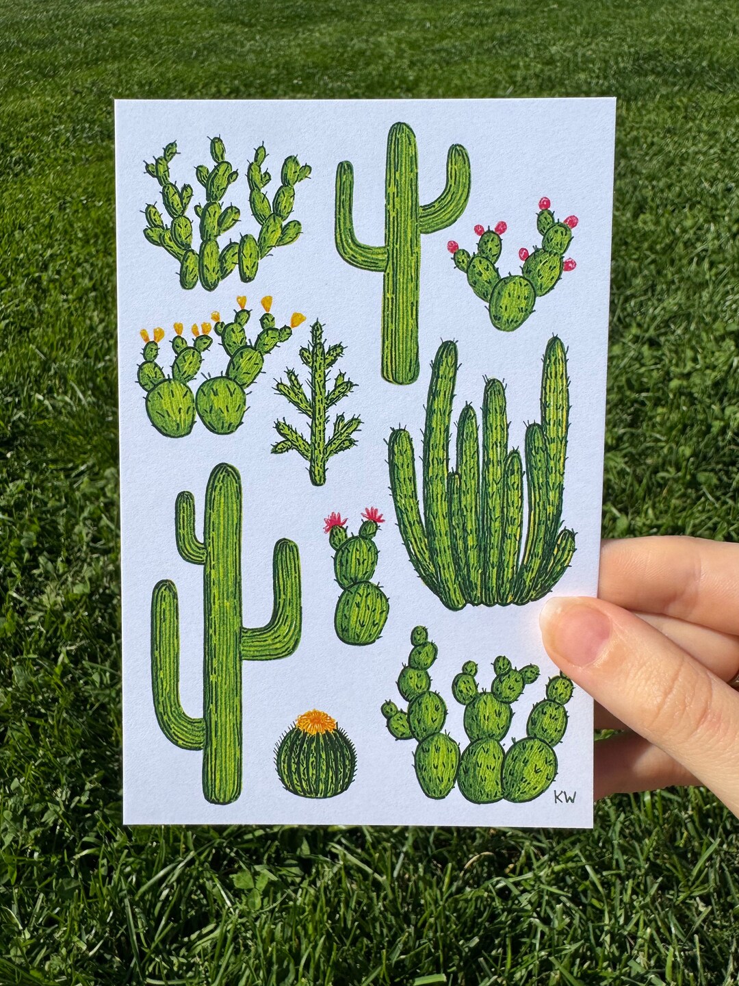 Cacti Collage Mini Art Print, 4x6 Artwork - Home and Wall Decor ...