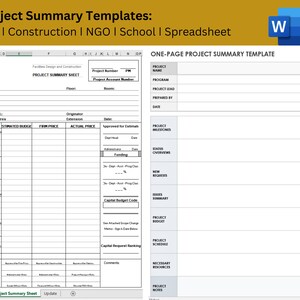 20+ Project Summary Templates: Agile ǀ IT ǀ Construction ǀ NGO ǀ School ...