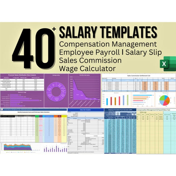 Salary Scale Template - Etsy
