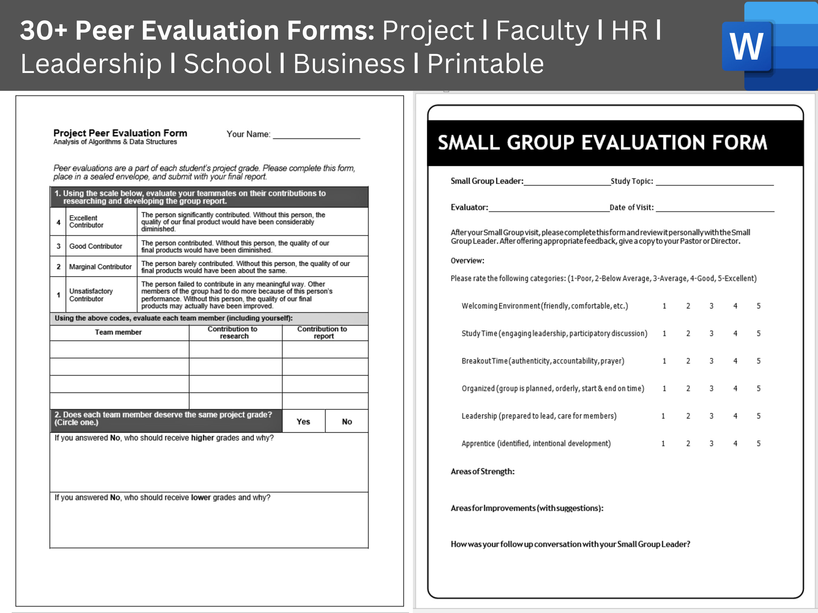 30+ Peer Evaluation Forms: Project ǀ Faculty ǀ HR ǀ Leadership ǀ School ...