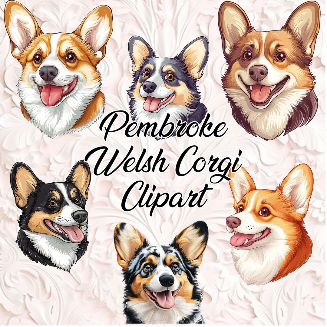 Pembroke Welsh Corgi Clipart - 6 PNG Files | Cartoon & Semi-realistic ...