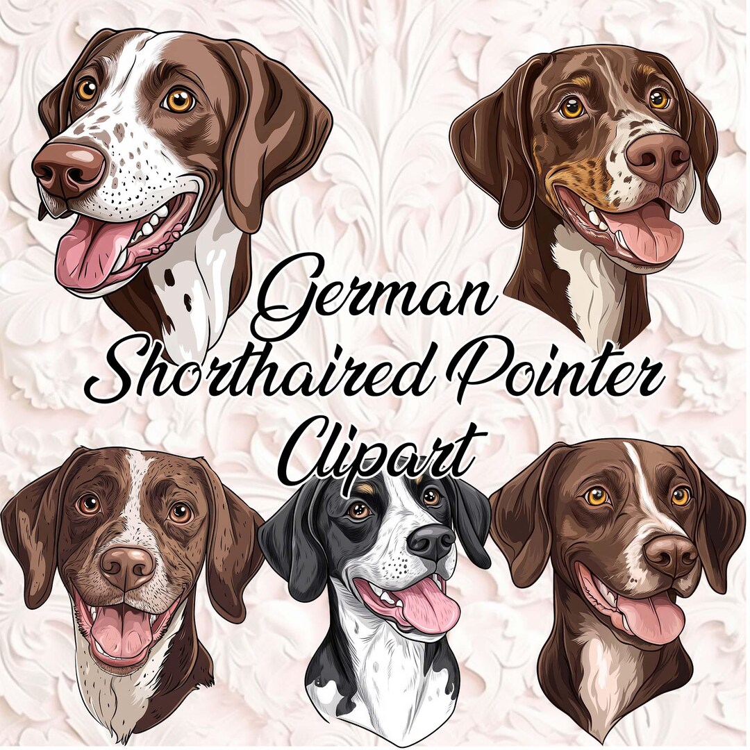 German Shorthaired Pointer Clipart - 5 PNG Files | Cartoon & Semi ...