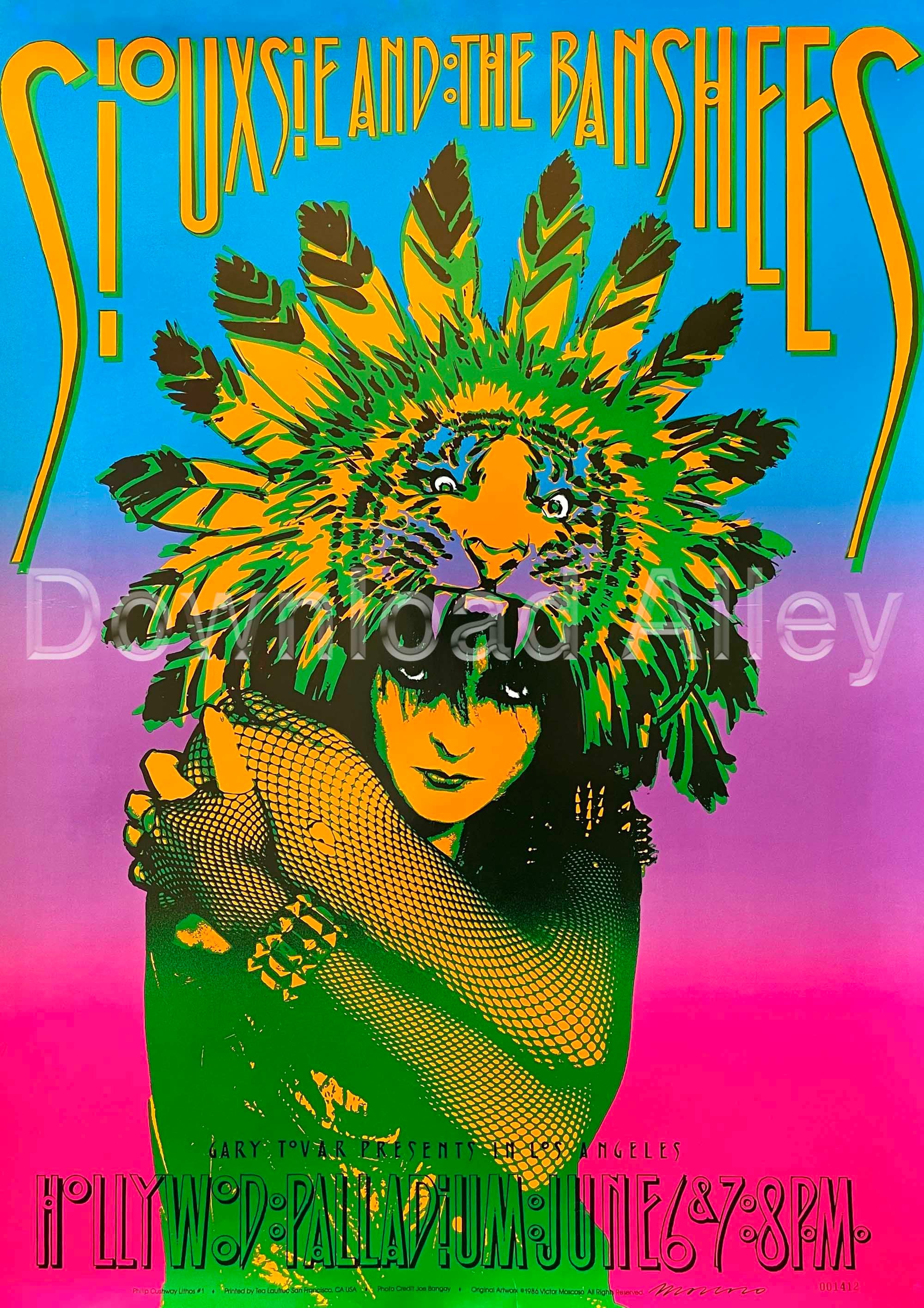 Siouxsie and the Banshees Retro Goth Band Concert Tour Digital Poster ...