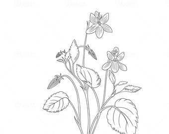 Hand Designed Plantain Colouring Page Unique Plantain Design Printable ...