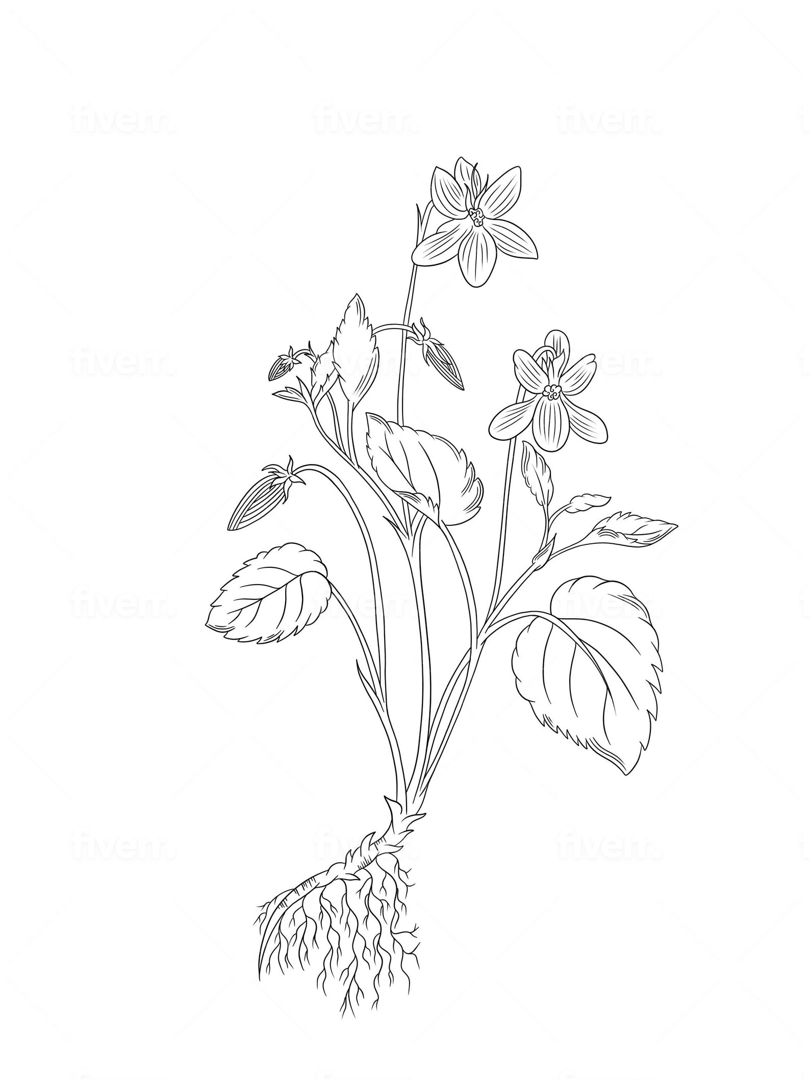 Hand Designed Violet Colouring Page - Unique Violet Design - Printable ...