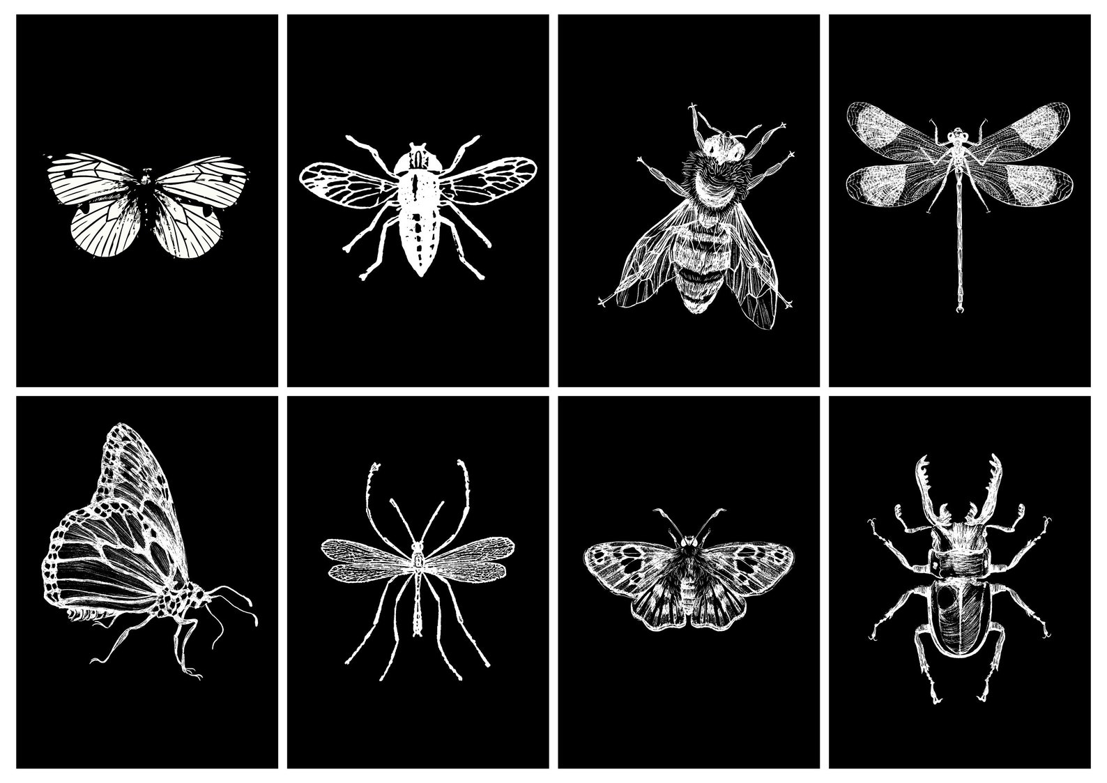 Black and White Insect Art - Etsy