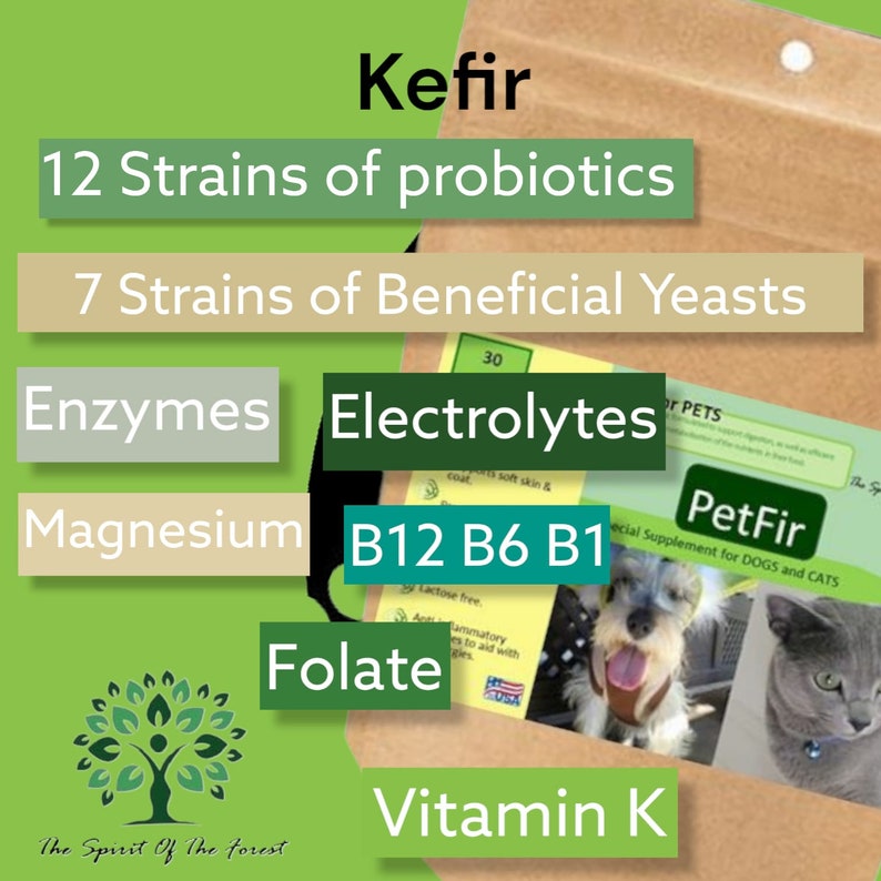 Petfir 30 Pack Kefir Supplement Pets Probiotic Dogs Cats Support Gut ...