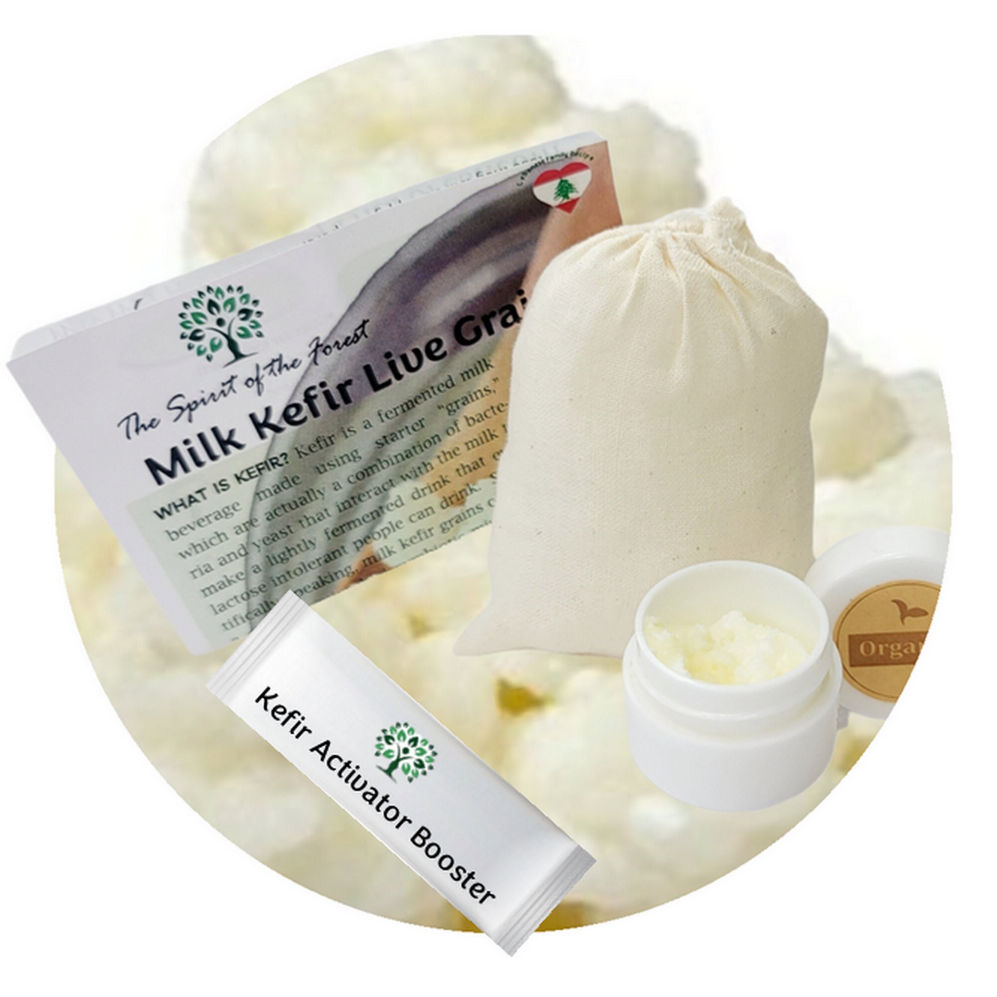 Organic and Original Milk Kefir Lebanese Grains Fresh Live Active ...