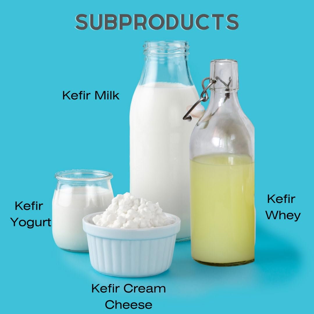 Organic Milk Kefir Powder Ready No Maintenace From Live Active ...