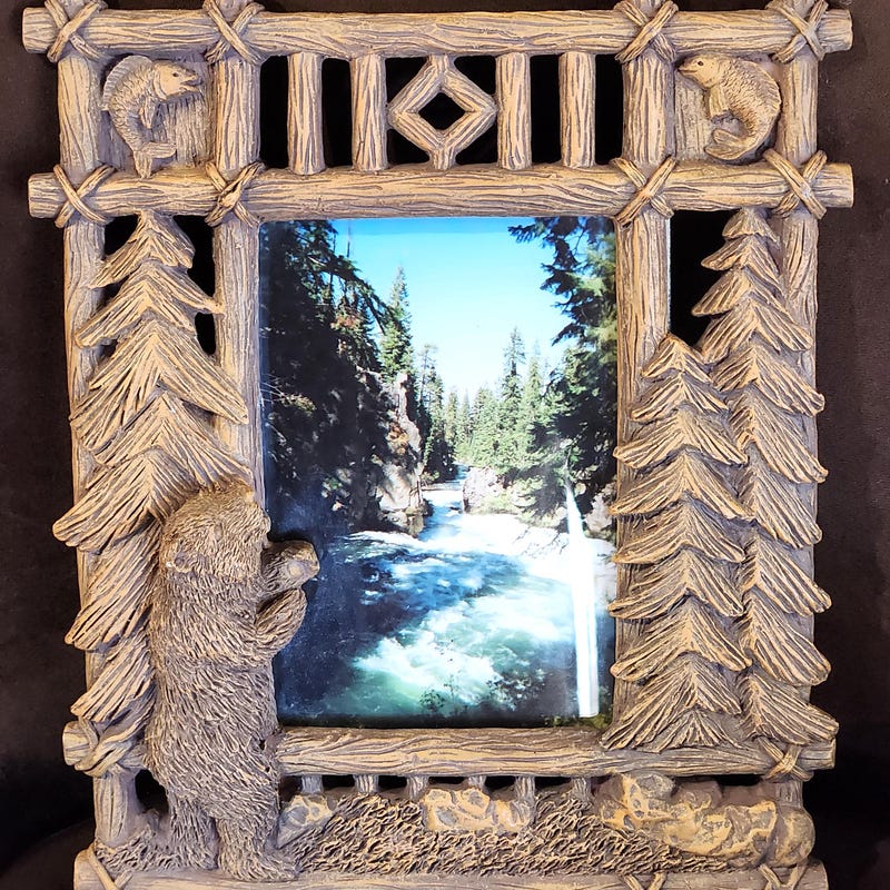 Forest Picture - Etsy