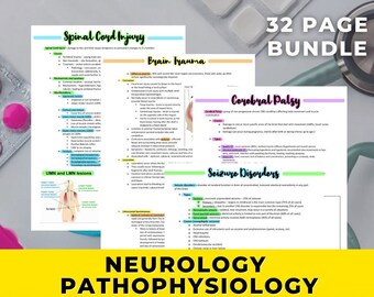 Neurology Guide - Etsy