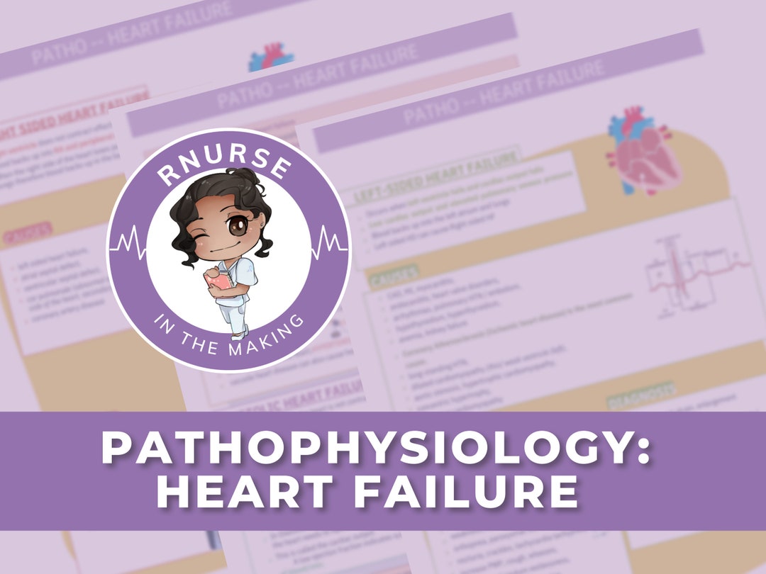 Pathophysiology Heart Failure Nursing Students Study Overview 4 Pages ...