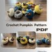 Crochet Pumpkin Digital Pattern PDF - Beginner Friendly | Instant ...
