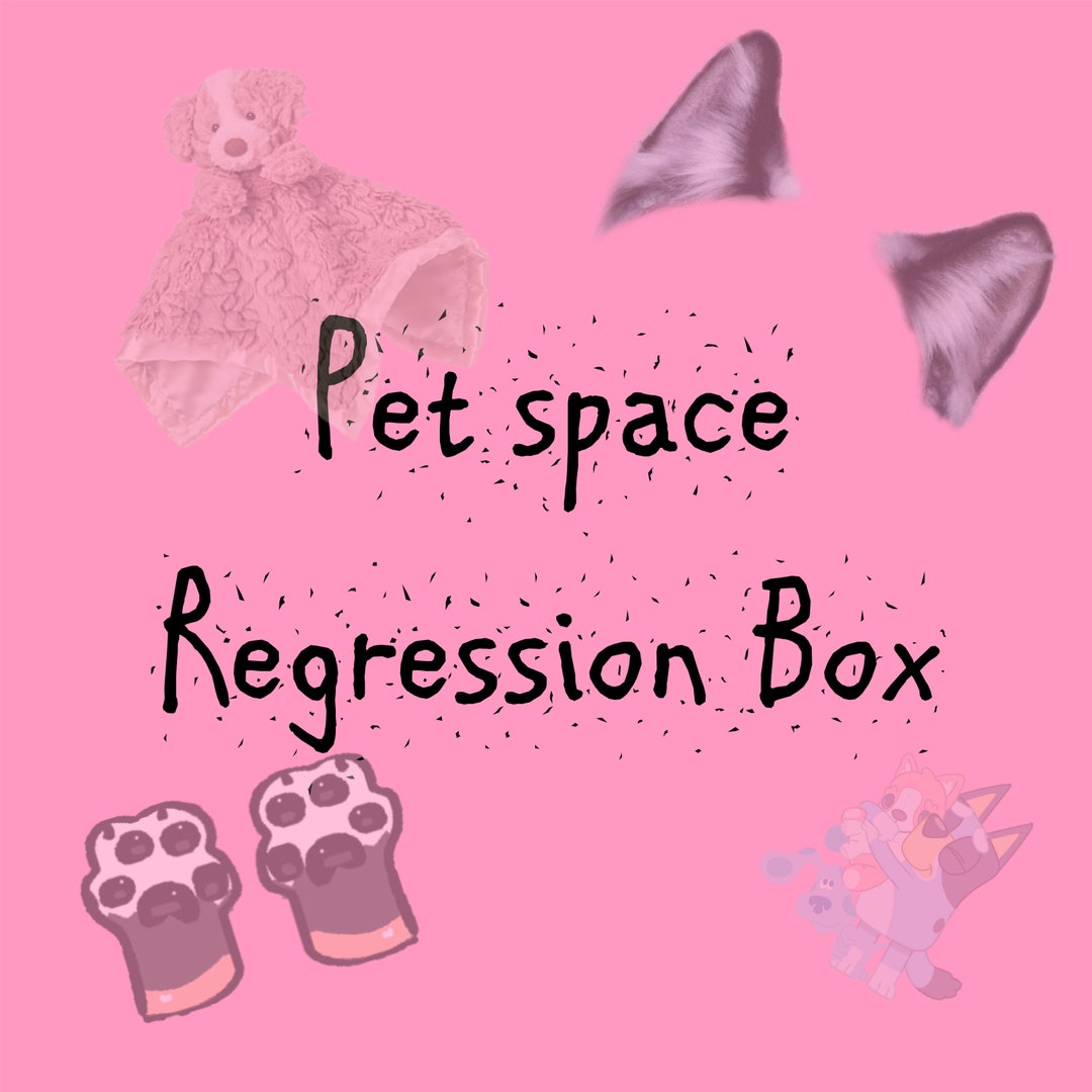 Pet Space Regression Box - Etsy