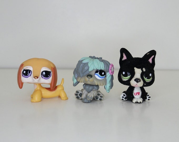 The Dazzlings Lps Customs - Etsy