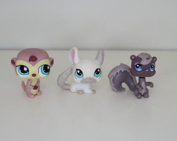 Hasbro Littlest Pet Shop LPS - Your Choice of Pet: #1564 Meerkat; #1401 ...