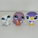 Hasbro Littlest Pet Shop LPS Your Choice of Pet: 555 Seal, 1119 Walrus ...