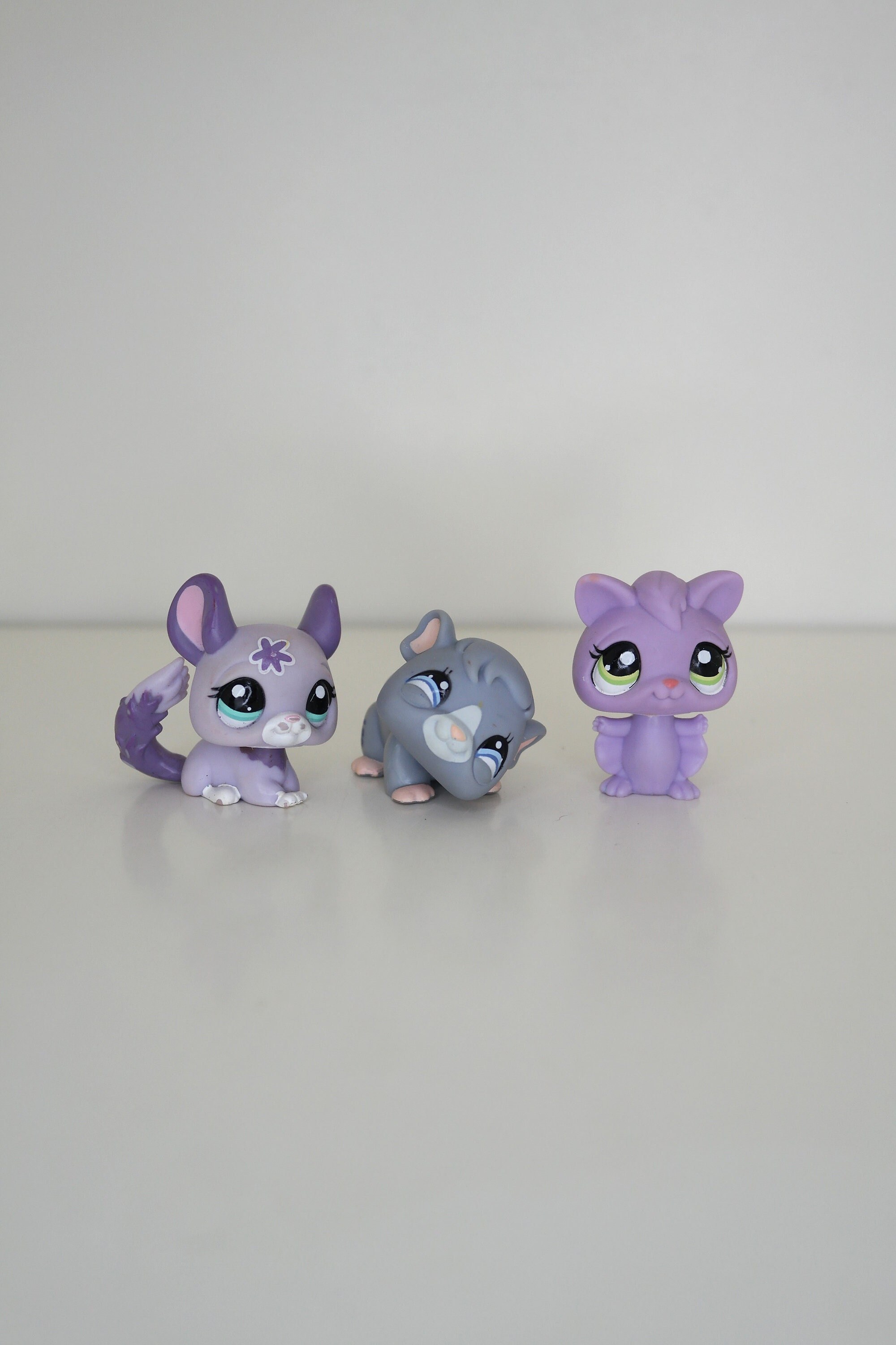 Littlest pet shop chinchilla store