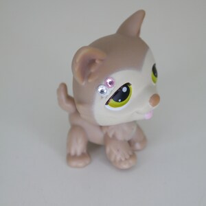 Hasbro Littlest Pet Shop Authentic LPS Pet Your Choice of a Collectible ...