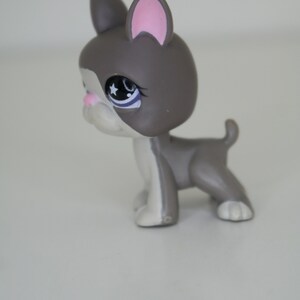 Choose Littlest Pet Shop Dog: Afghan Hound #3323 or Boston Terrier 958 ...