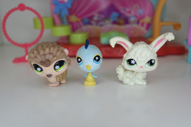 Littlest Pet Shop Circus Playset Set of Accessories and Pets - Etsy