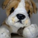 Bulldog Puppy Dog BUTCH Plush Toy Authentic by Keel Toys Stuffed Doll ...