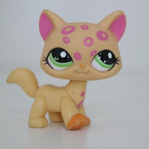Littlest Pet Shop Hasbro LPS Pet With Accessories 1869 Cat Vintage ...