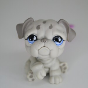 Littlest Pet Shop Authentic Hasbro LPS Pet With Accessories: 508 ...