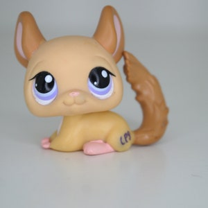 Hasbro Littlest Pet Shop LPS Your Choice of a Collectible Chinchilla ...