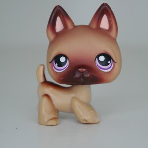 Hasbro Littlest Pet Shop LPS Your Choice of a Collectible German ...