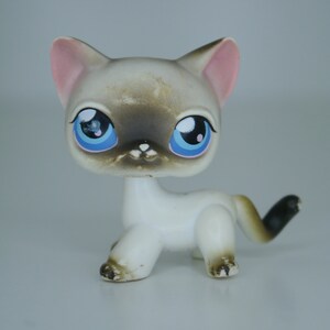 Hasbro Littlest Pet Shop Authentic LPS Pet Your Choice of a Cat Pet Toy ...