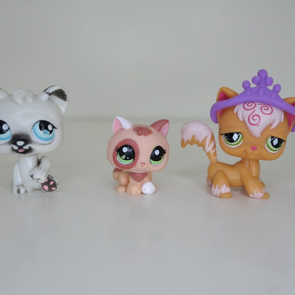 Lps Himalayan Cat - Etsy
