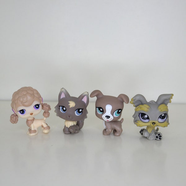 Littlest Pet Shop Orange Cat - Etsy