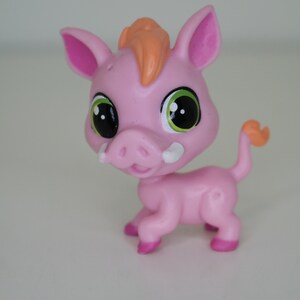 Choose a Pet: #3670 Zoe #3895 Dane #196 Zeda Fox # 3893 Warhog #195 ...